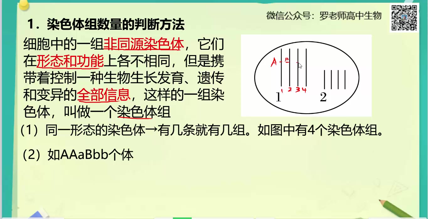 染色体组数判断