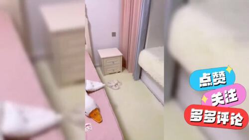 长毛绒床边地毯飘窗垫,摸起来毛茸茸的还不掉毛