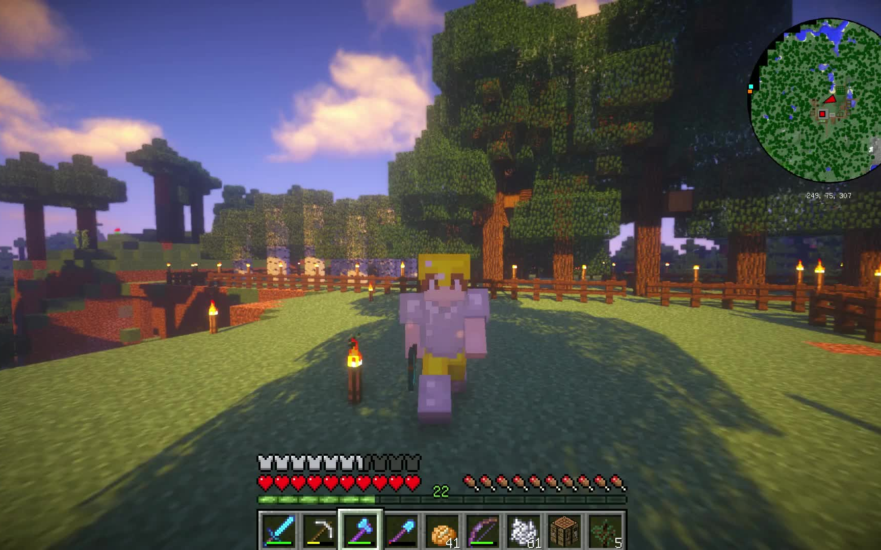 我的世界生存与冒险第十四集 露天矿井 与人工园林