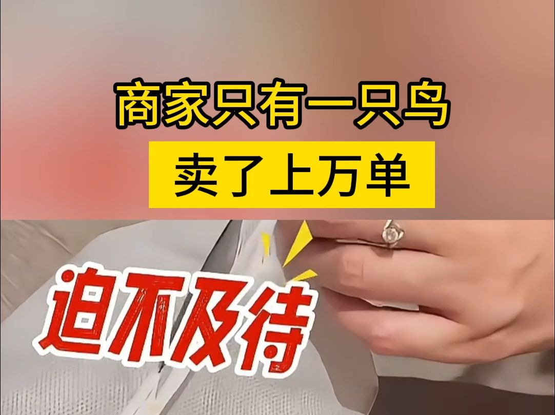 商家只有一只鸟 卖了上万单
