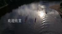 航拍龙舟划桨比赛竞技体育运动10951
