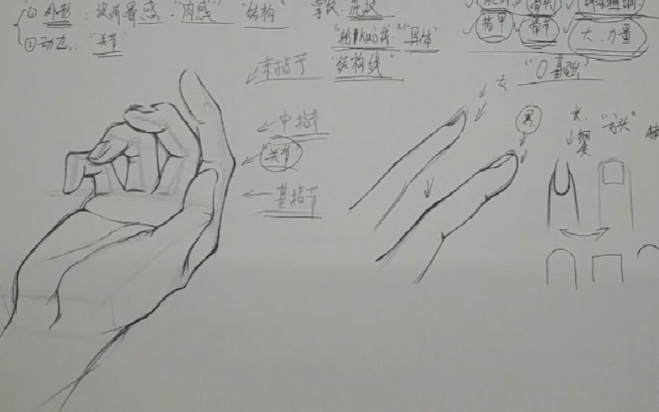 【漫画手绘】漫画人物手部教程 不会画手部的快来看零基础教学