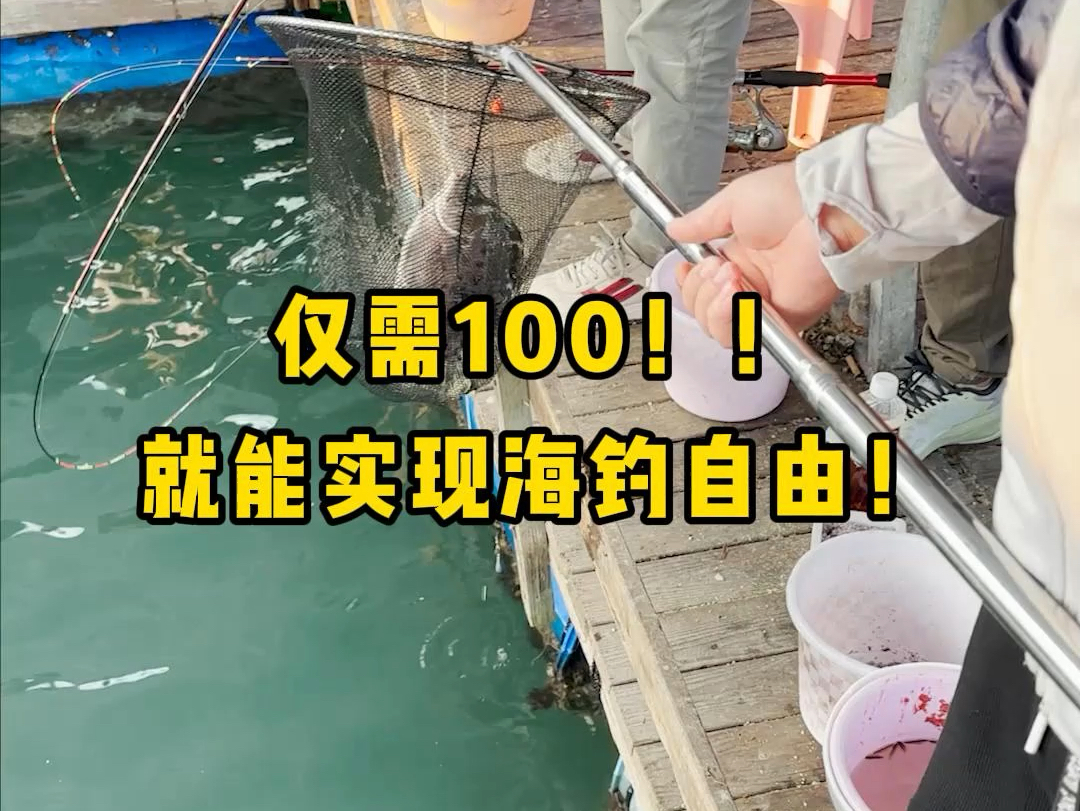 出海钓鱼2天一夜只需100