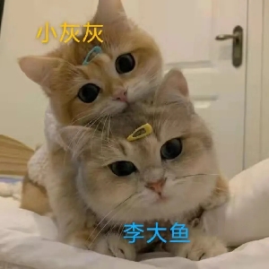 鱼晖10251207 
