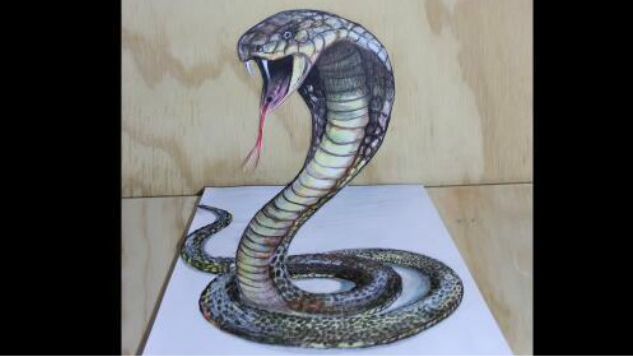 教你如何在白纸上画出一个超级逼真的3D眼镜蛇,远看好吓人~