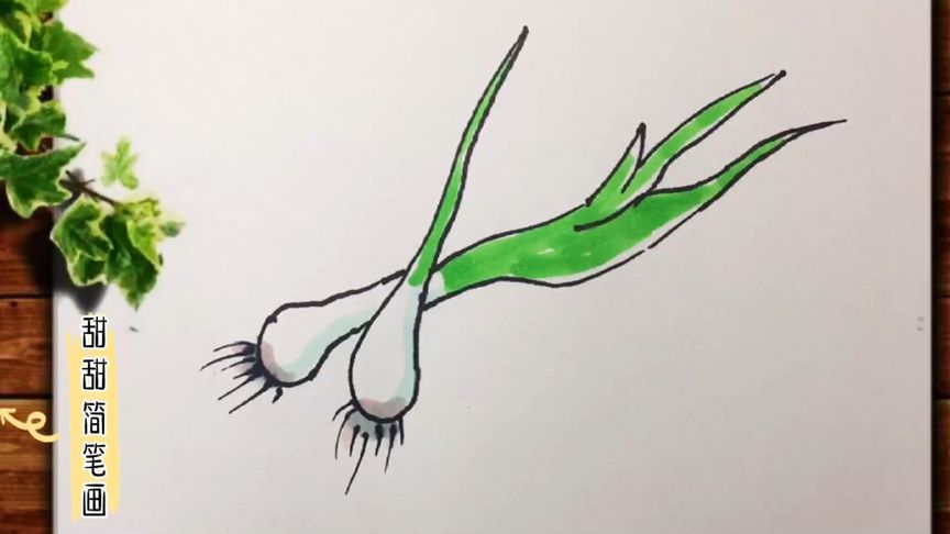 儿童趣味简笔画入门,画简单的蒜苗