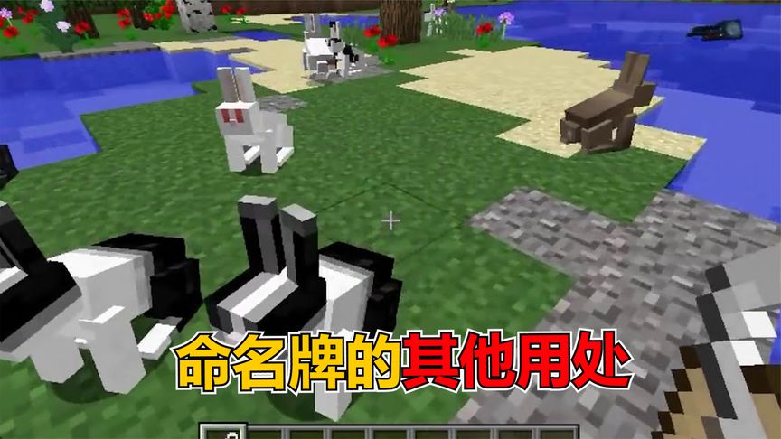 我的世界:神奇的命名牌,有着六个小知识!