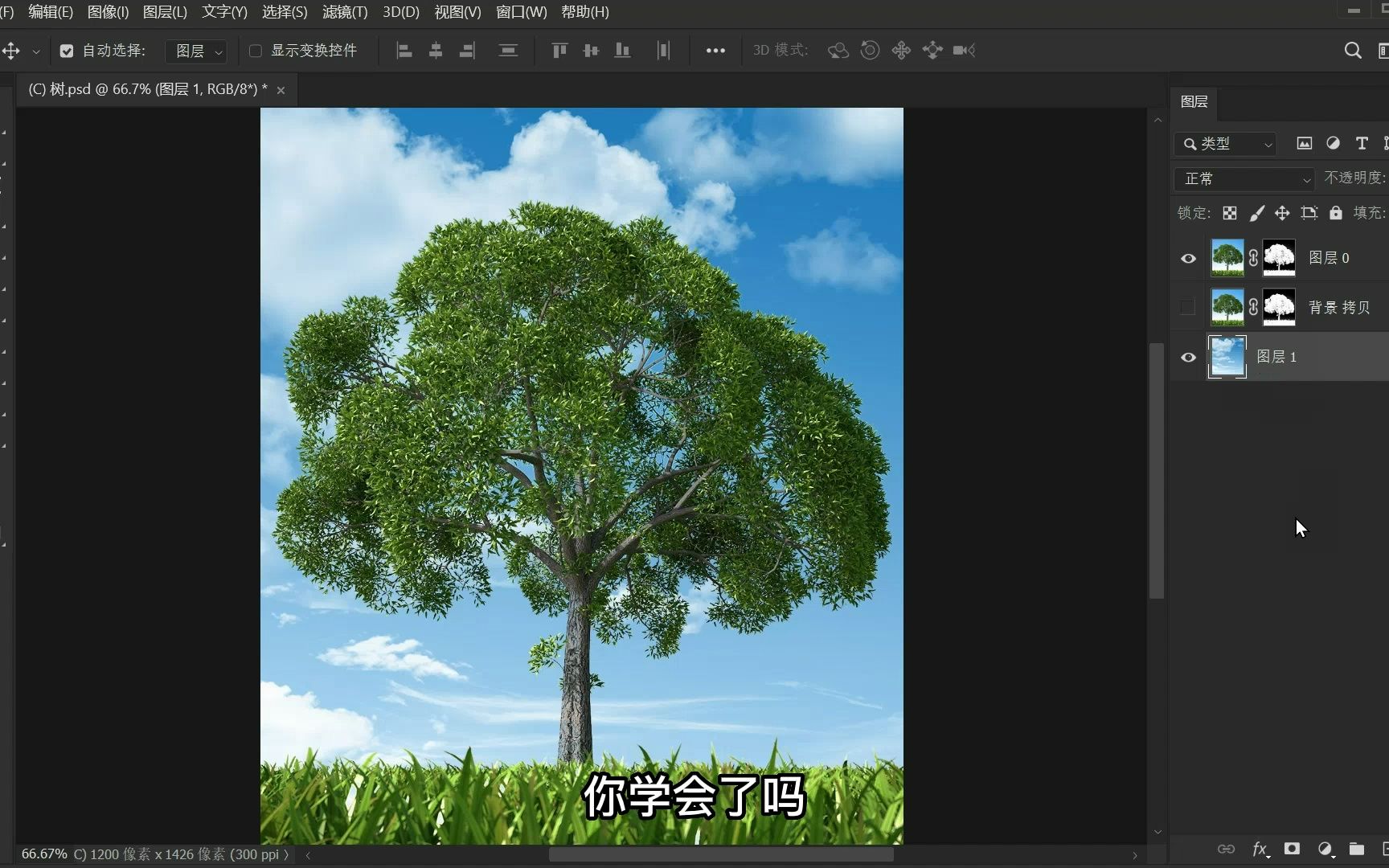 你还在用魔棒工具抠树枝吗?不妨试试这个方法!