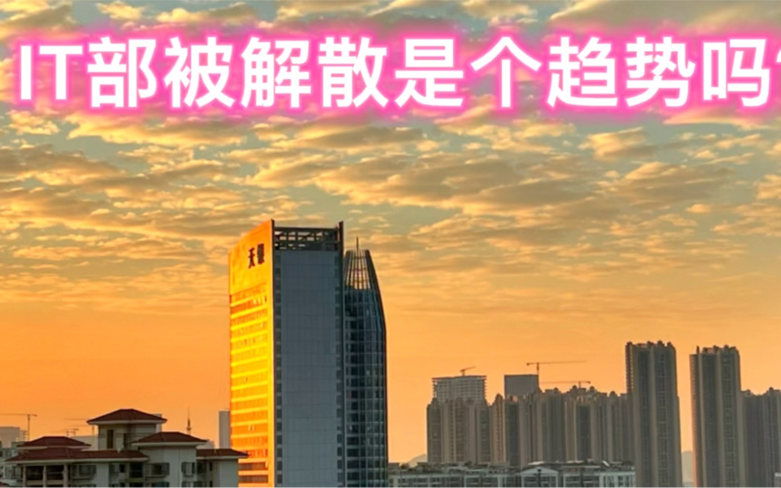 #IT部 #IT被解散#企业管理新技术应用会使IT部被解散吗?