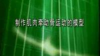 制作肌肉牵动骨运动的模型