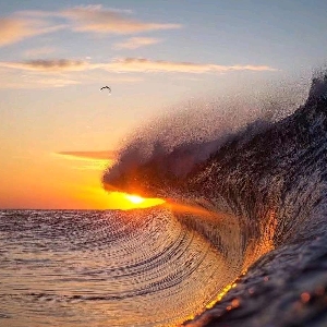 百年秋风万年寒 