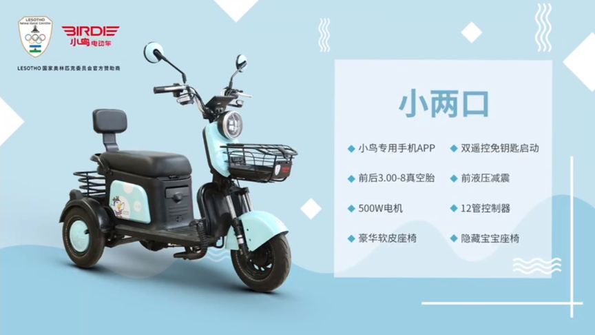 电动车品牌推荐:小鸟高端休闲三轮!