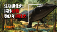 生物进化史,人类从何进化而来,揭秘生物数亿年的进化史