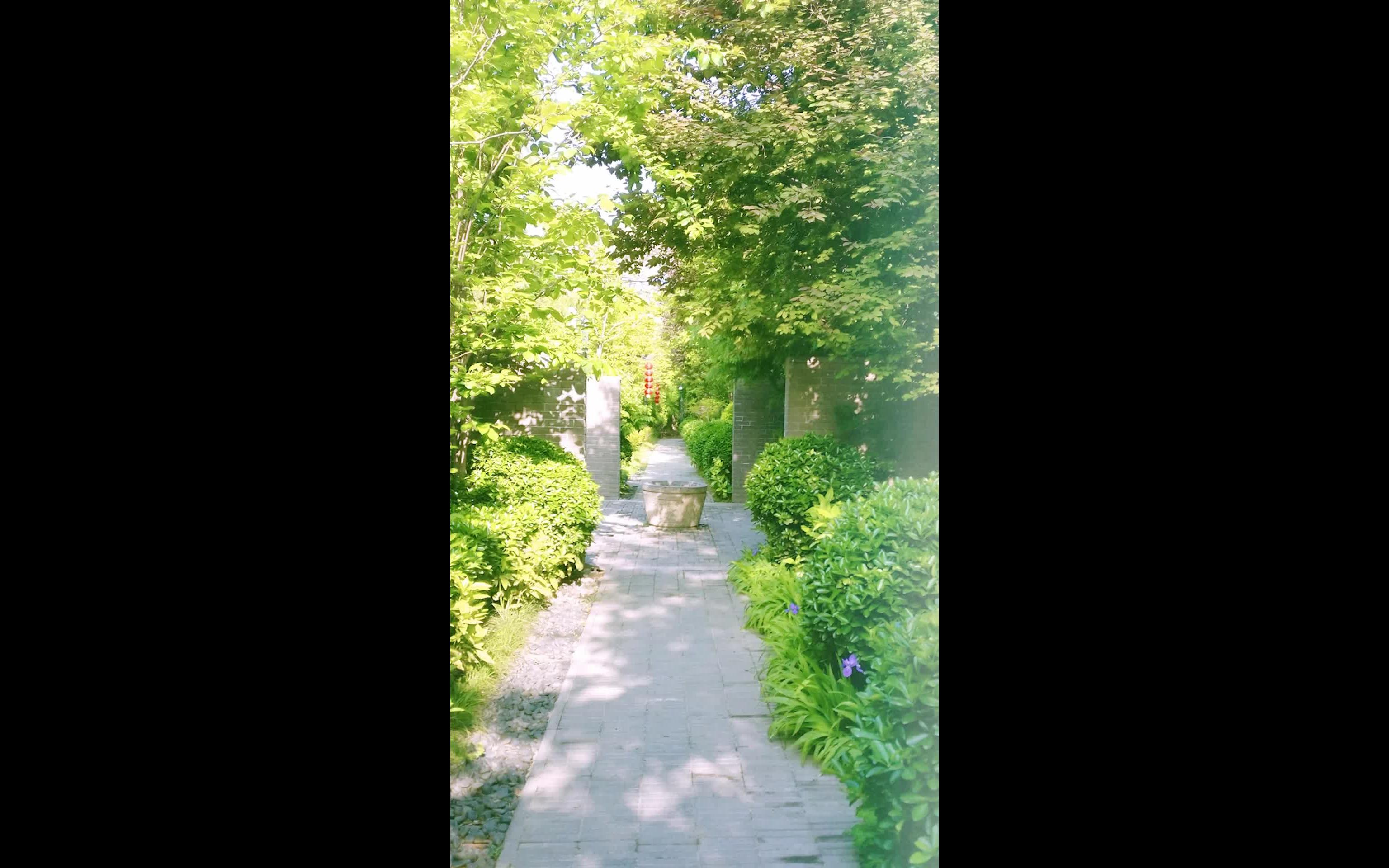 简单pr照片剪辑,手机版大小