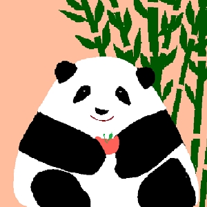 施琴话忆 