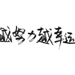 任老师学历信息服务 