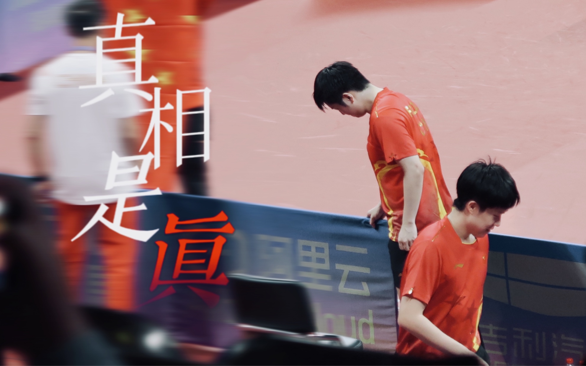 小胖头|“我共他飞过地球万里”|真相是真||樊振东X王楚钦CP向