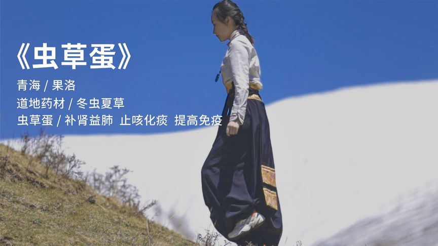 鲜冬虫夏草另类吃法,学起来!