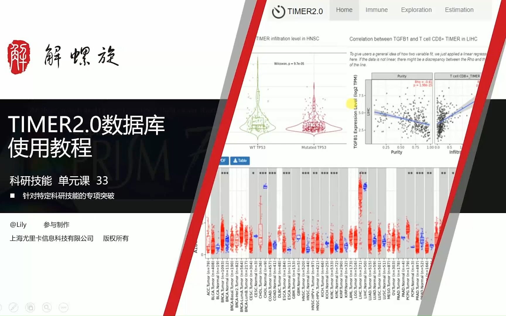 TIMER2.0 数据库使用教程--数据库简介