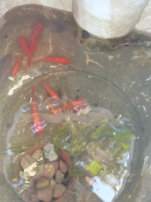 寓于谈天说地 