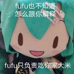 会飞的贾队长 