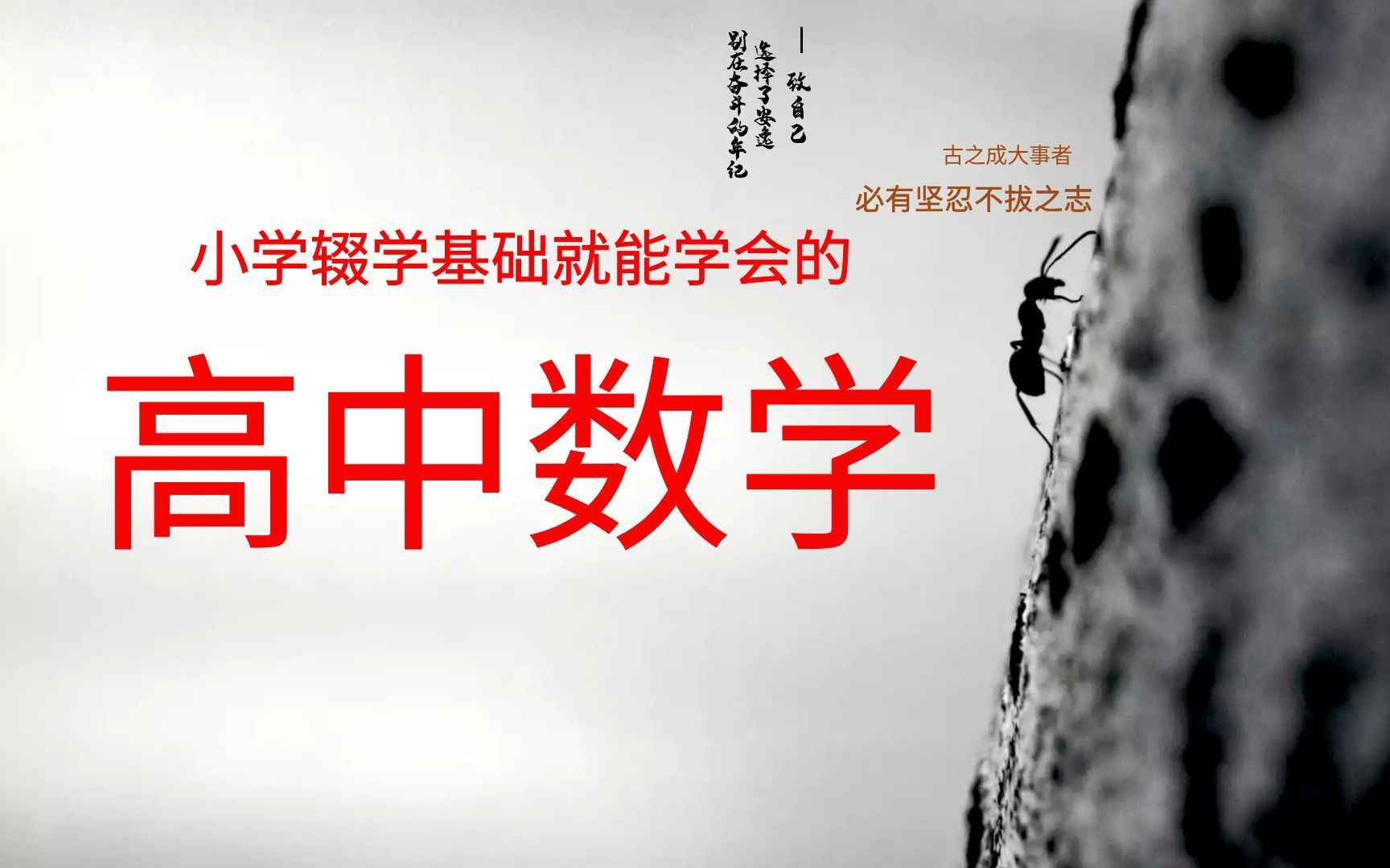 零基础学高中数学【4集合的表示方法】