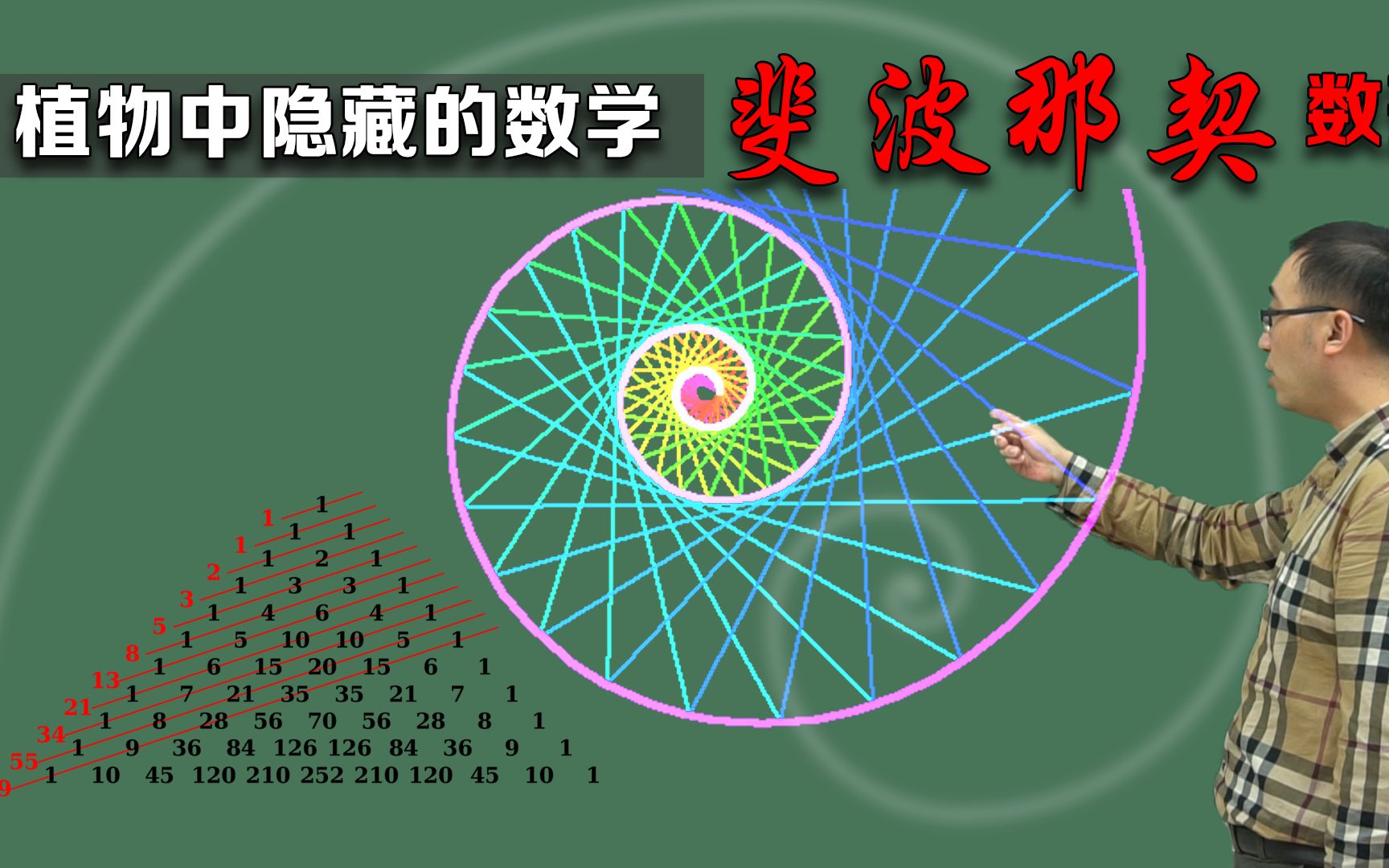 植物中隐藏的数学—— 斐波那契数列是什么?李永乐老师讲神奇的...