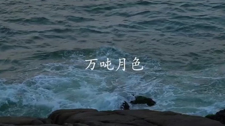 身临其境!余秀华诗中的画面你可曾见过?国际舞剧《万吨月色》官方预告