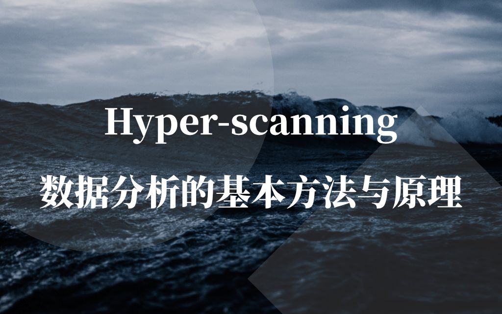 Hyper-scanning 数据分析的基本方法与原理