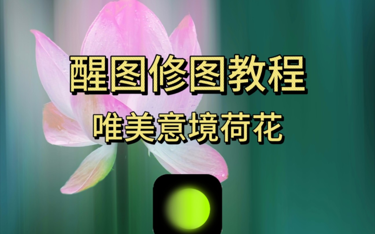 唯美意境荷花醒图修图教程来啦!纯美背景如何用手机制作?