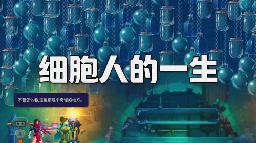 细胞人的一生