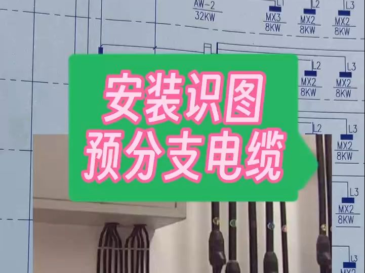 安装识图:预分支电缆讲解