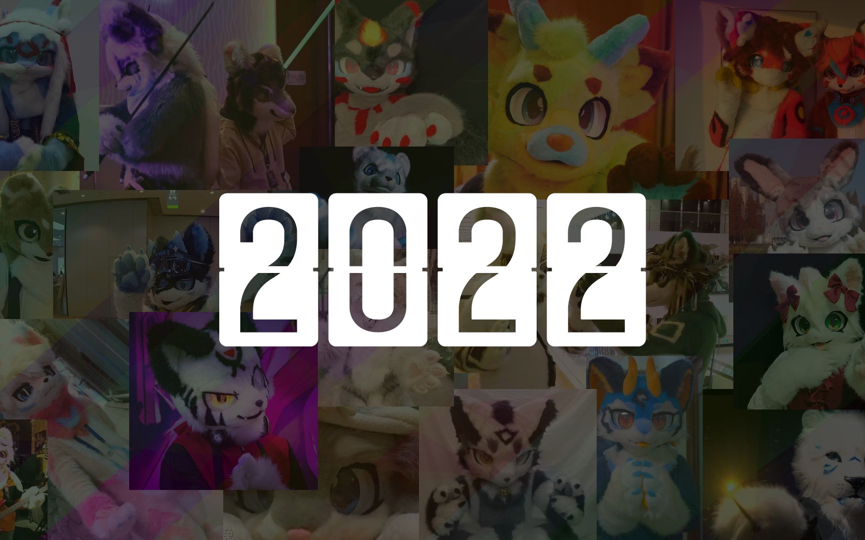 来自54只毛毛的新年倒计时!和毛绒绒们一起来迎接2022!