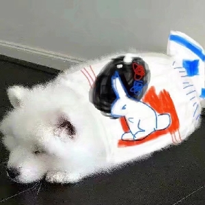緑玉君 