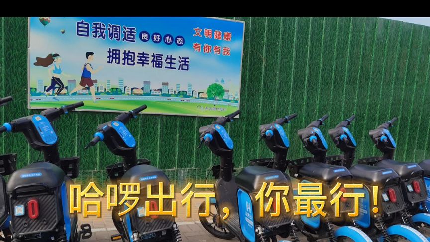 哈啰出行,你最行。找哈罗单车学电动车。这小电电给力