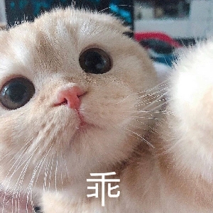 后脑勺不要冒泡辣_ 