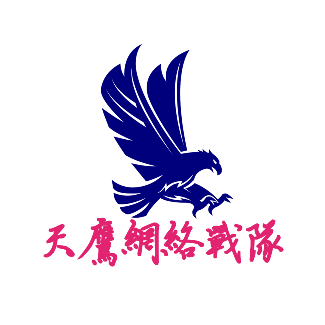 天鹰网络战队 