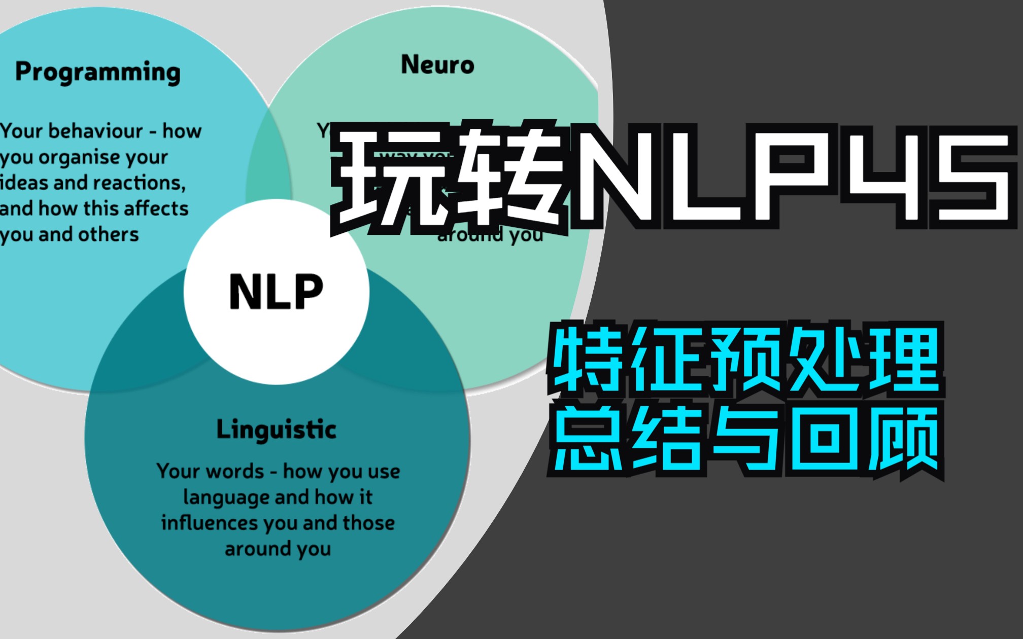 玩转NLP45:特征预处理——总结与回顾