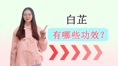 中药白芷有哪些功效?除了止痛,还有什么作用?看完这些就知道了