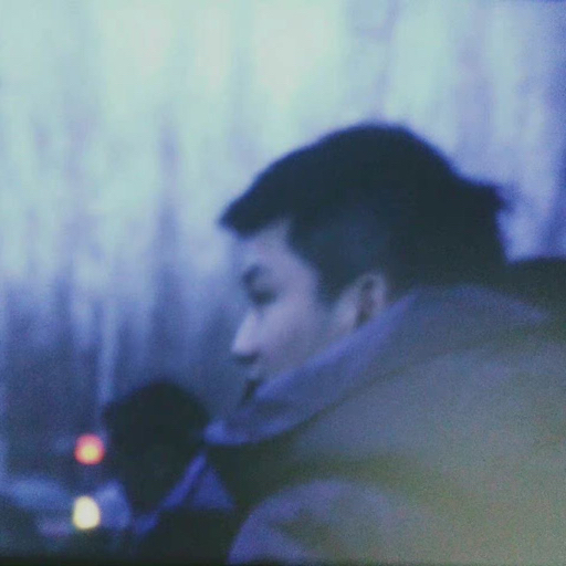 樊振东丨小熊日记 