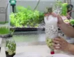 掌握过滤原理自制鱼缸过滤器，经济实惠又实用，比买的还管用