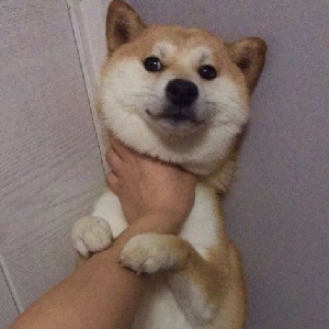 神秘的A段 