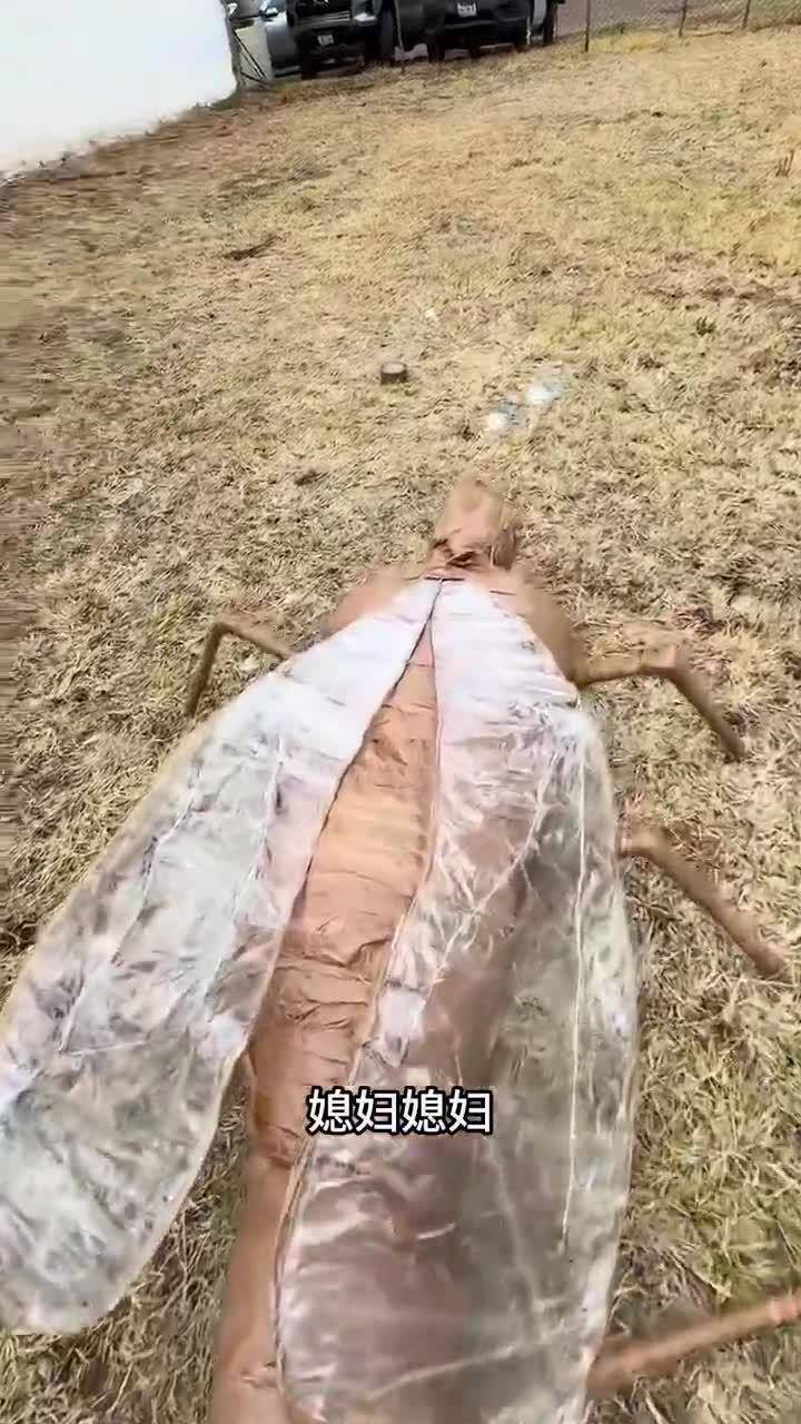 学校活动给家长忙够呛 #搞笑配音