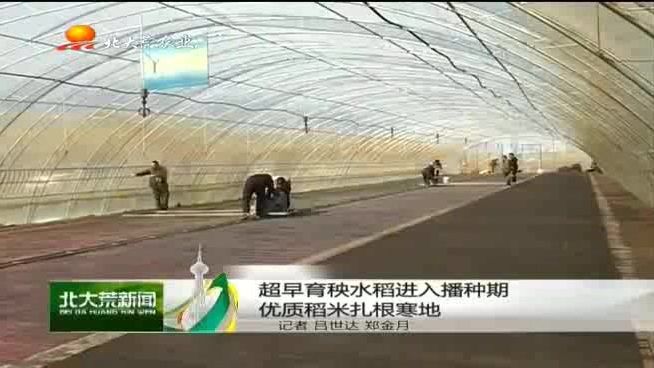 黑龙江垦区超早育秧水稻进入播种期,优质稻米扎根寒地