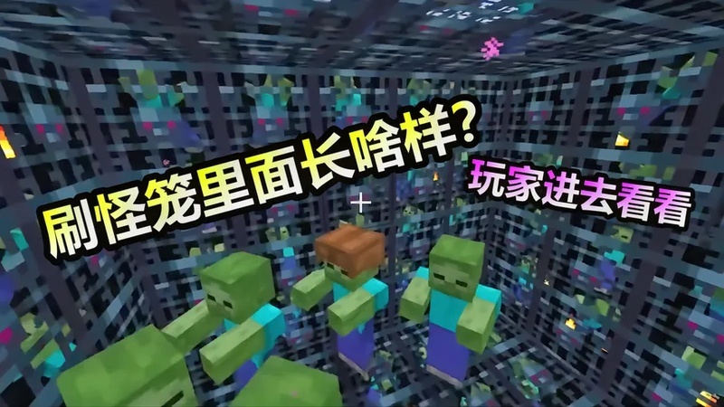 MC我的世界:刷怪笼里面长什么样玩家缩小后进去看了一下