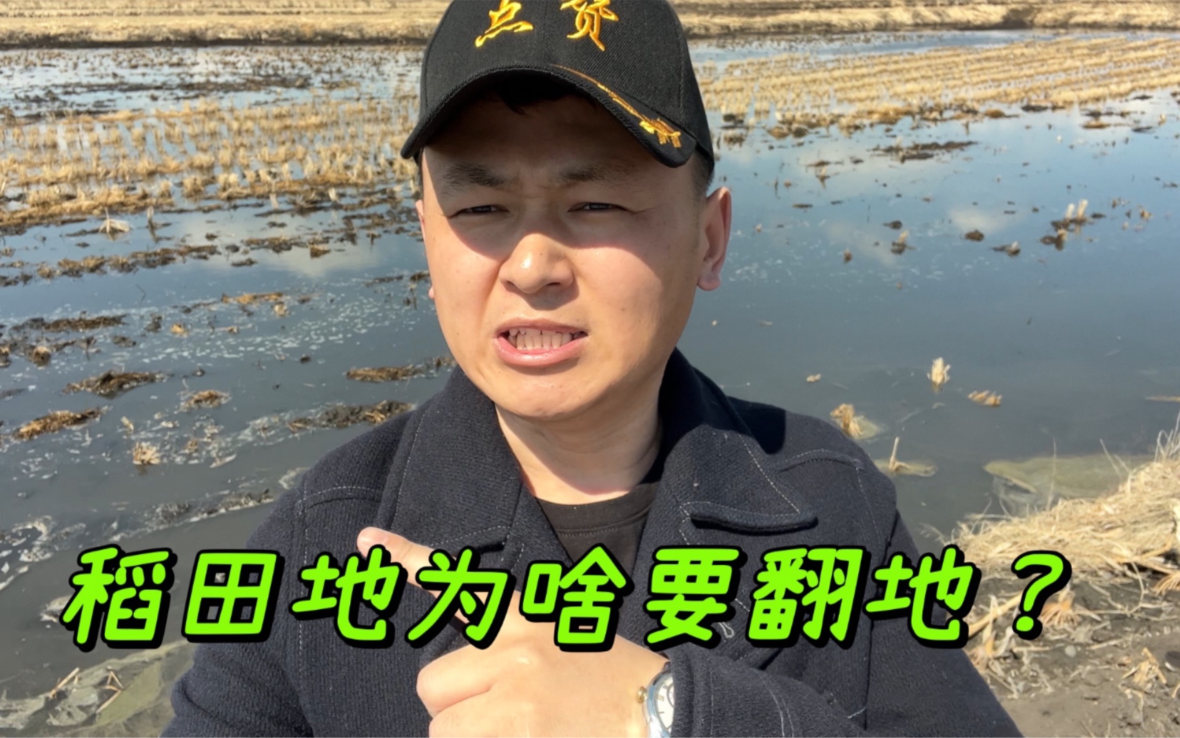东北水稻是如何种植的?稻田地为啥每年都要翻?