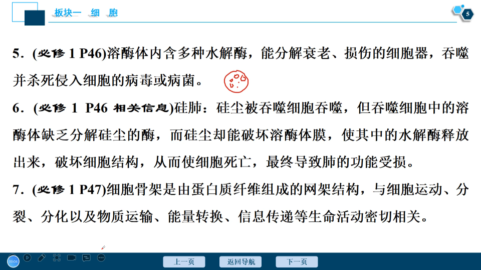 细胞的基本结构2