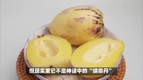 熬夜久坐脸垮便秘?人参果这样吃,皮肤紧致排便畅!