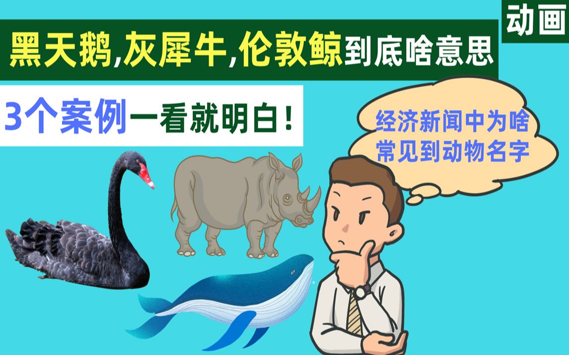...鲸,经济中常见的动物名词到底啥意思,几个案例一看就明白【动画】
