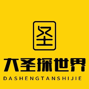 大圣影视解说 